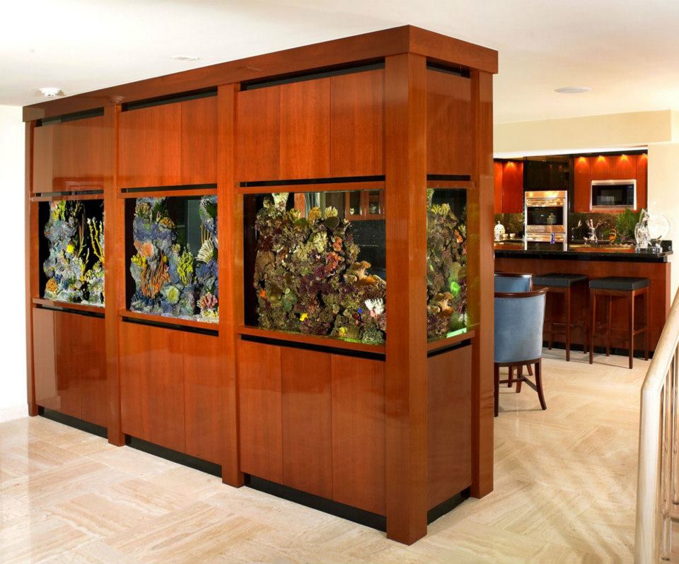 Normal Aquatics - Custom Aquariums & Ponds Install, Maintenance ...